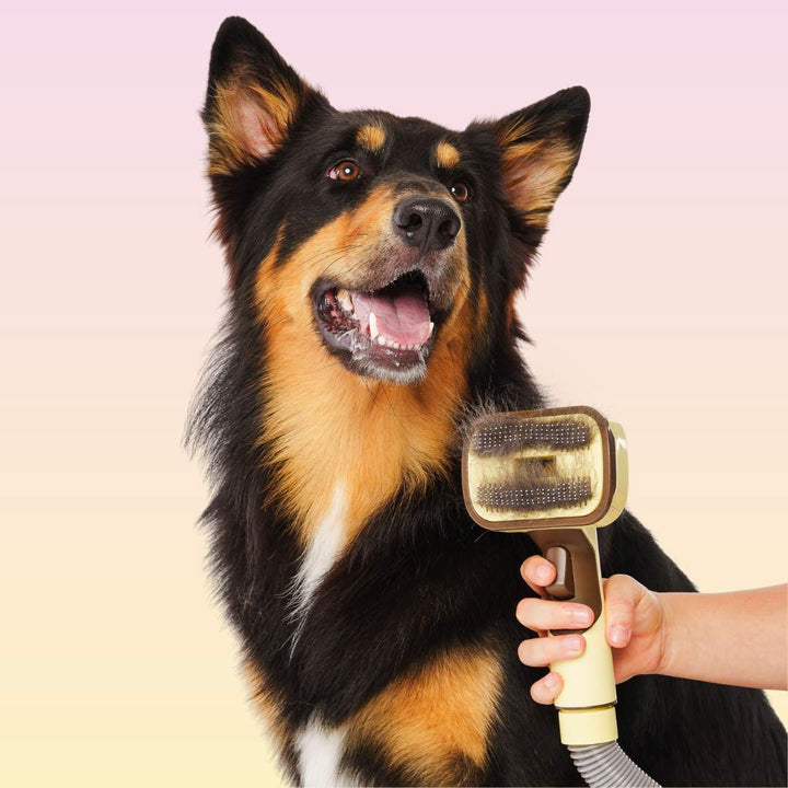 GROOMI Mess-Free Pet Grooming: A pet brush for your vacuum – The GROOMI