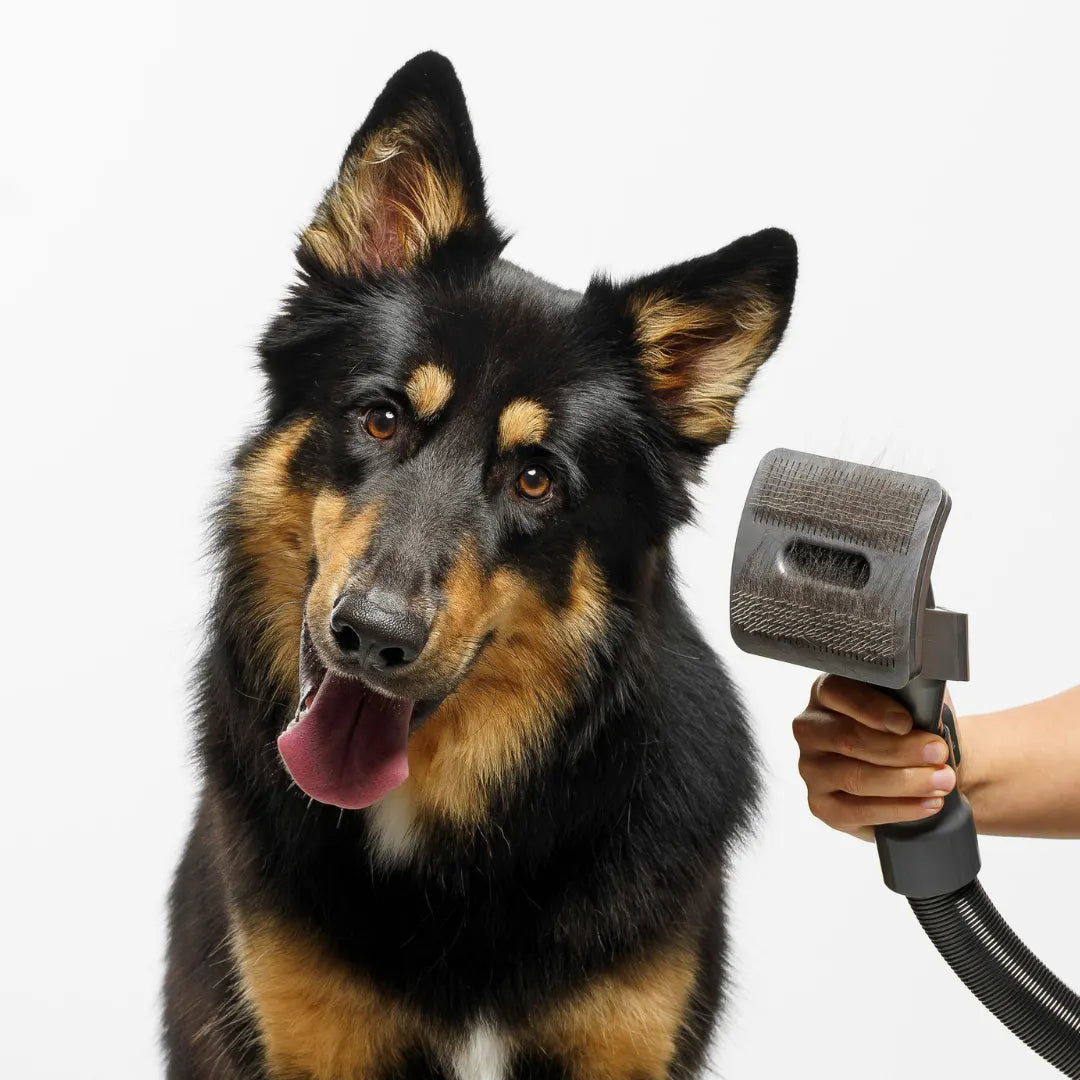 GROOMI STORY: Mess-Free Pet Grooming: A pet grooming invention brush ...