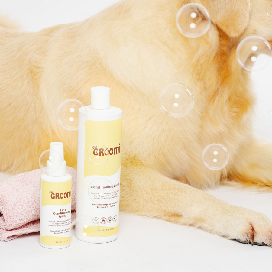 Hydro Hound – The GROOMI