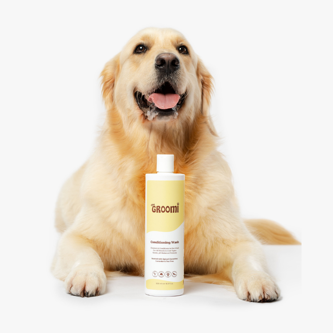 3-In-1 Deshedding Wash – The GROOMI