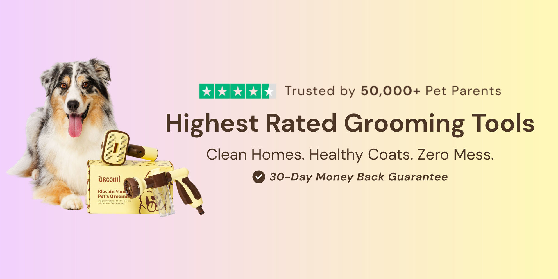 Mess-Free Dog Grooming Brushes for Australian Pet Owners | The Groomi ...