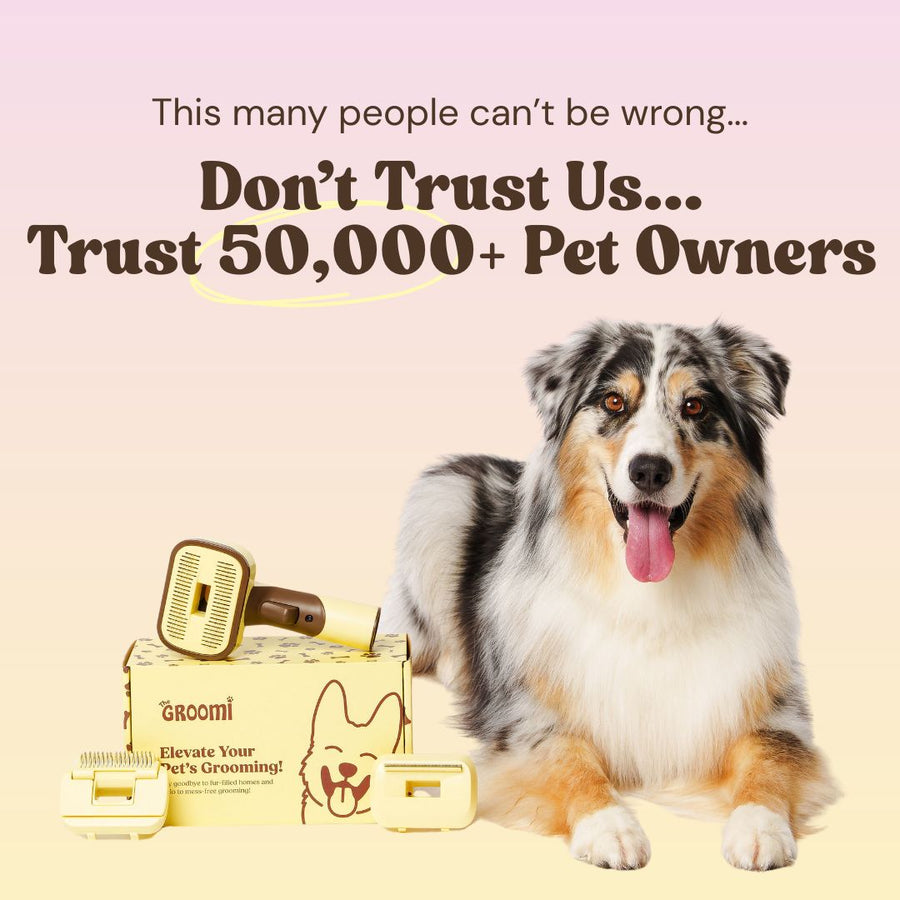 GROOMI™: Vacuum Grooming Tool, Deshedding Brush for Dogs & Cats – The ...