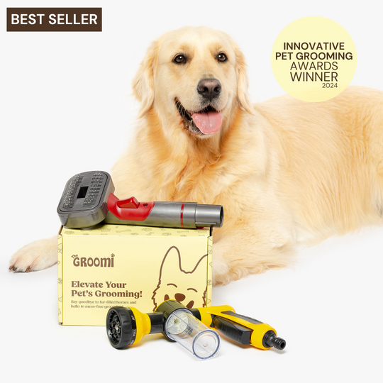 GROOMI Mess-Free Pet Grooming: A pet brush for your vacuum – The GROOMI