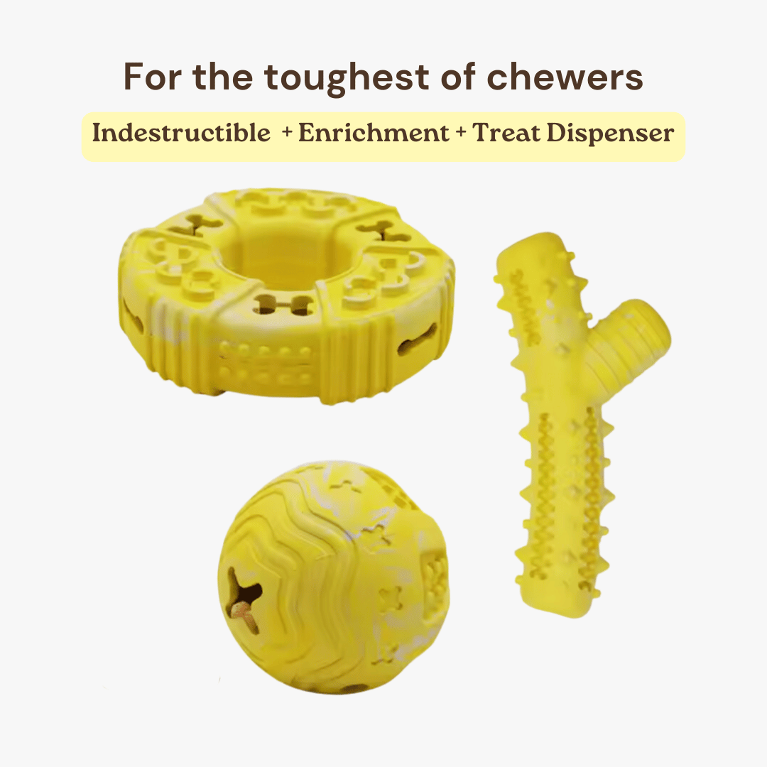 GROOMI Mess-Free Pet Grooming: A pet brush for your vacuum – The GROOMI