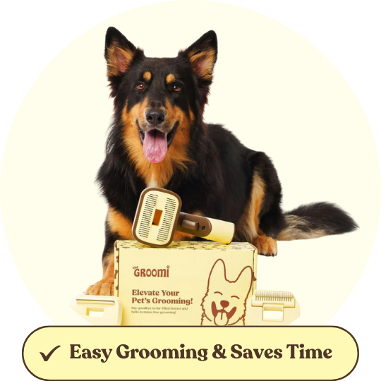 GROOMI™: Vacuum Grooming Tool, Deshedding Brush for Dogs & Cats – The ...