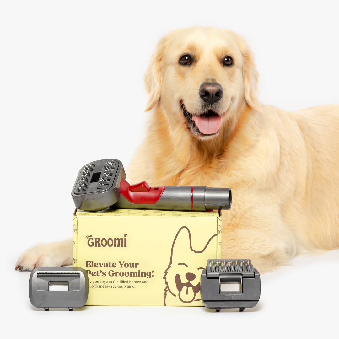 GROOMI Mess-Free Pet Grooming: A pet brush for your vacuum – The GROOMI