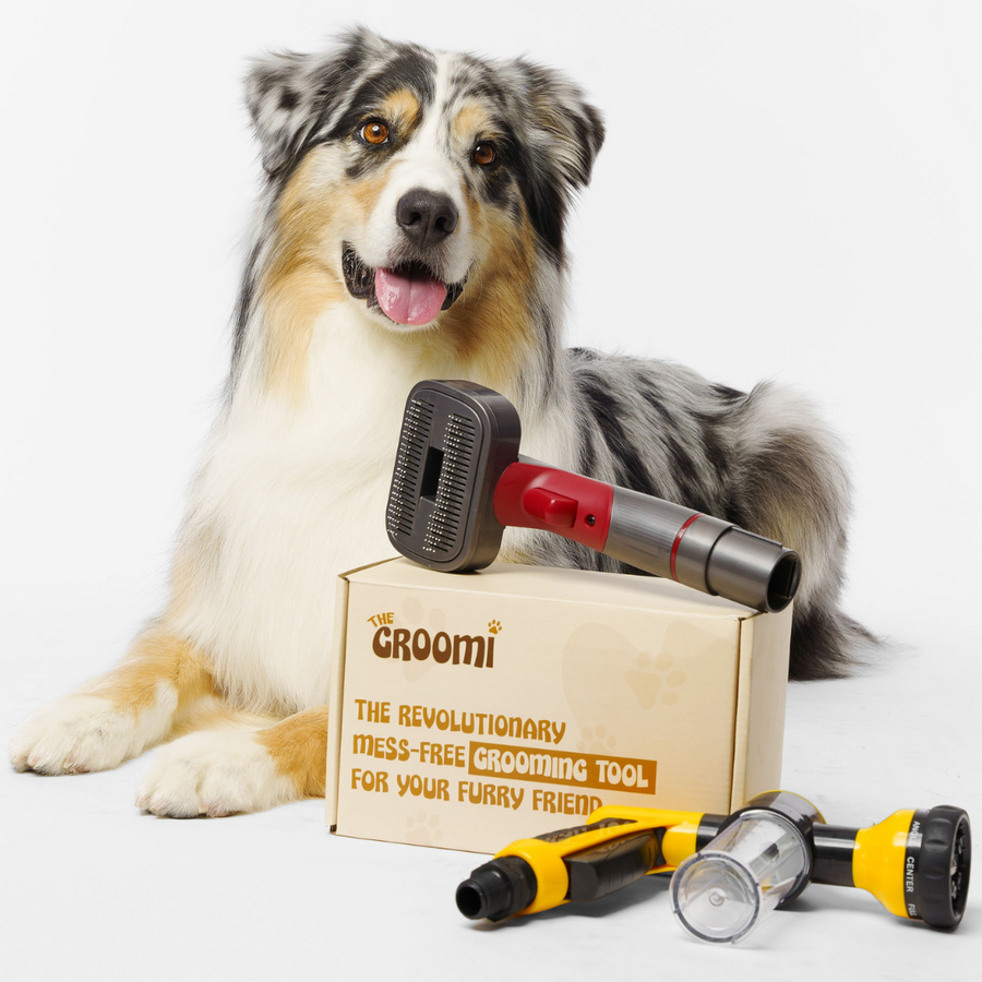 GROOMI Mess-Free Pet Grooming: A pet grooming brush for your vacuum ...