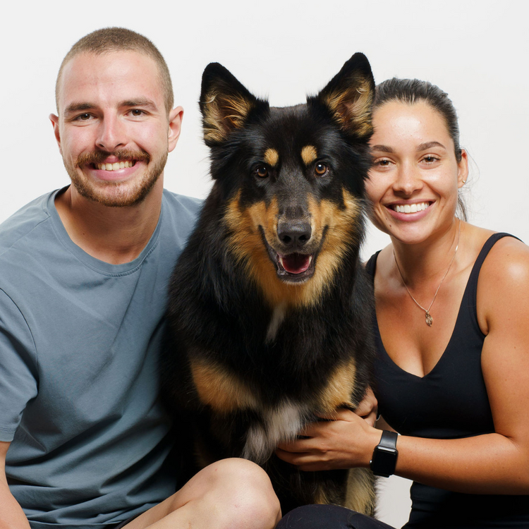 GROOMI Mess-Free Pet Grooming: A pet brush for your vacuum – The GROOMI