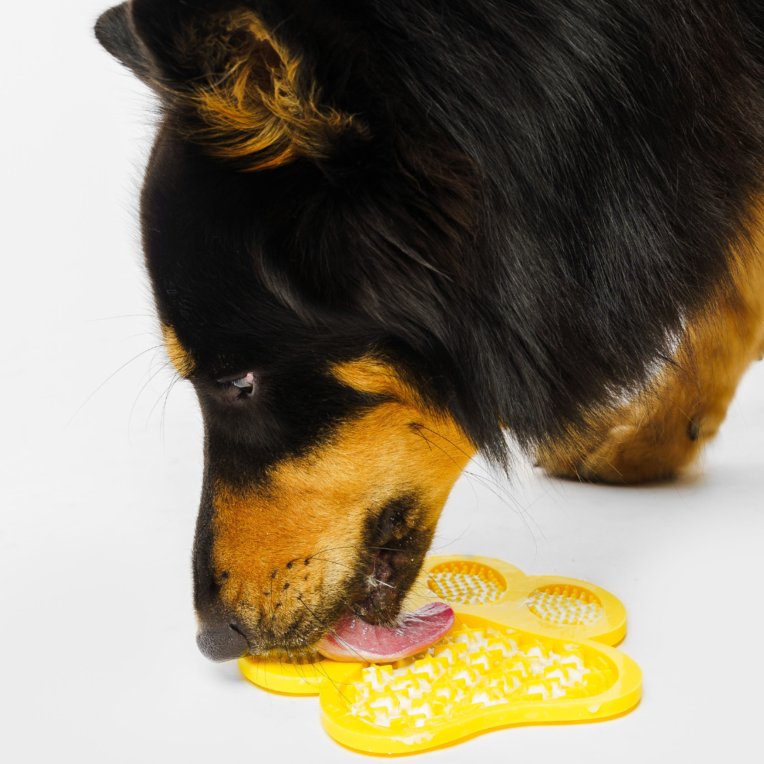 GROOMI Mess-Free Pet Grooming: A pet grooming brush for your vacuum ...