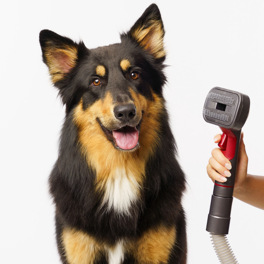 GROOMI Mess-Free Pet Grooming: A pet grooming brush for your vacuum ...