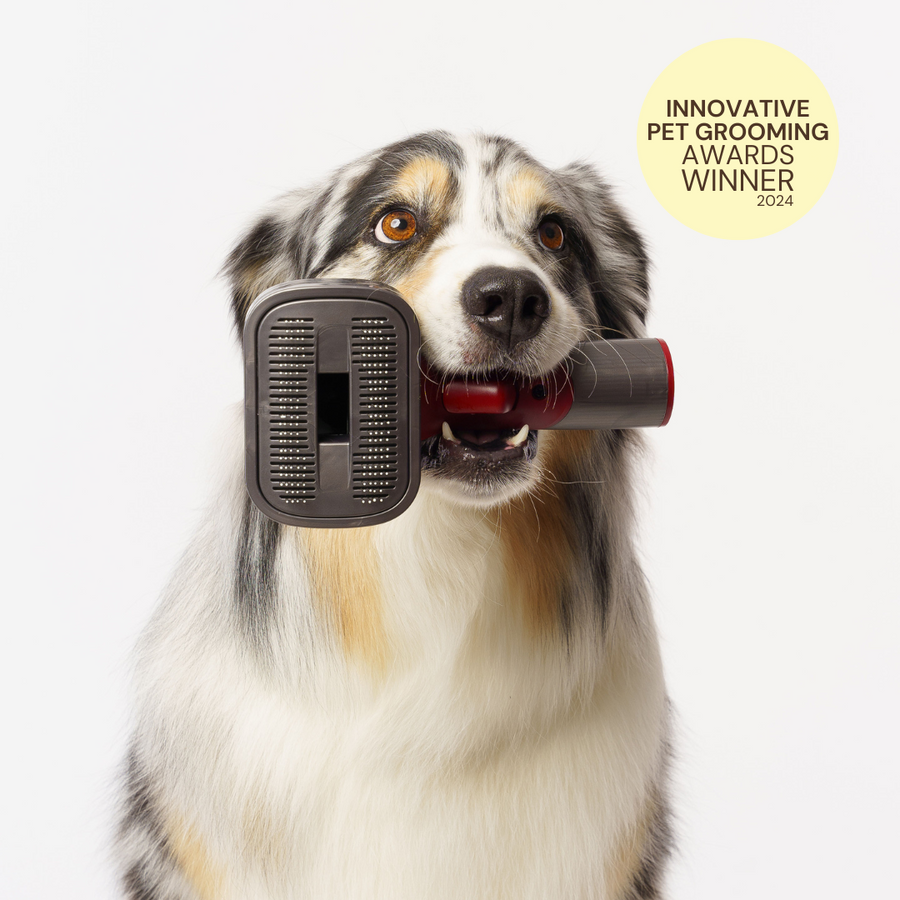 GROOMI Mess-Free Pet Grooming: A pet brush for your vacuum – The GROOMI