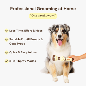 GROOMI Mess-Free Pet Grooming: A pet brush for your vacuum – The GROOMI