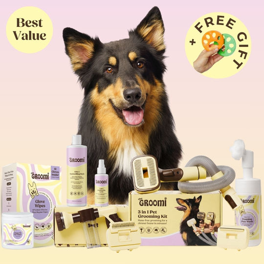 GROOMI™: Vacuum Grooming Tool, Deshedding Brush for Dogs & Cats – The ...
