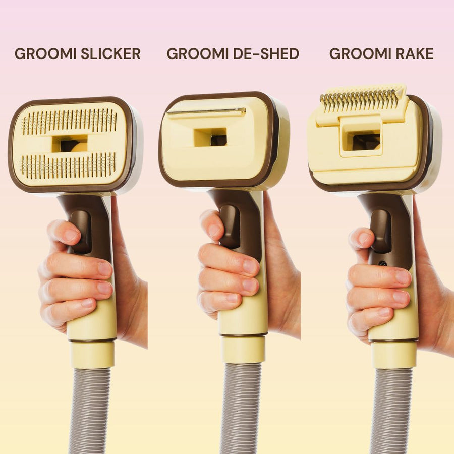GROOMI™: Vacuum Grooming Tool, Deshedding Brush for Dogs & Cats – The ...