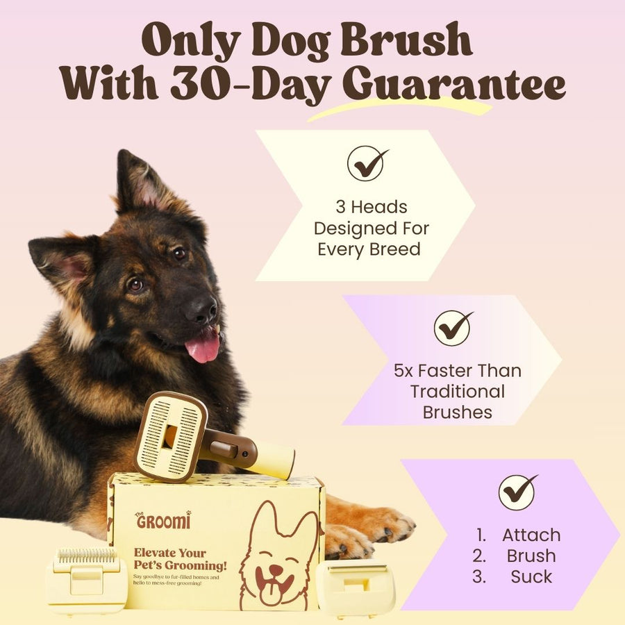 GROOMI™: Vacuum Grooming Tool, Deshedding Brush for Dogs & Cats – The ...