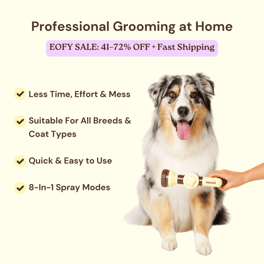 Hydro Hound – The GROOMI