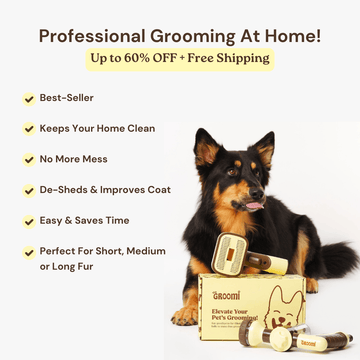 GROOMI Mess-Free Pet Grooming: A pet brush for your vacuum – The GROOMI