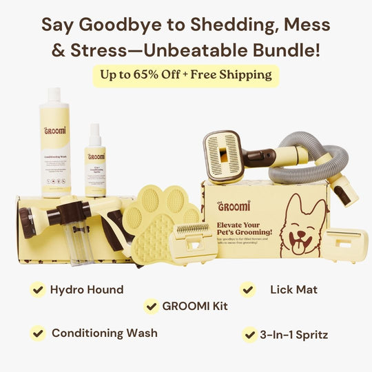 GROOMI Mess-Free Pet Grooming: A pet brush for your vacuum – The GROOMI