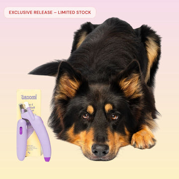 Products – The GROOMI