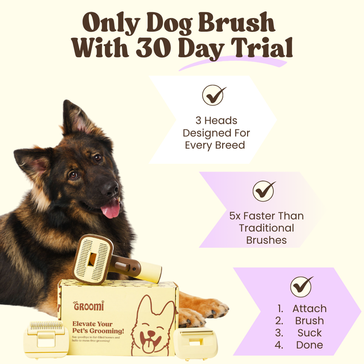GROOMI™: Vacuum Grooming Tool, Deshedding Brush for Dogs & Cats – The ...