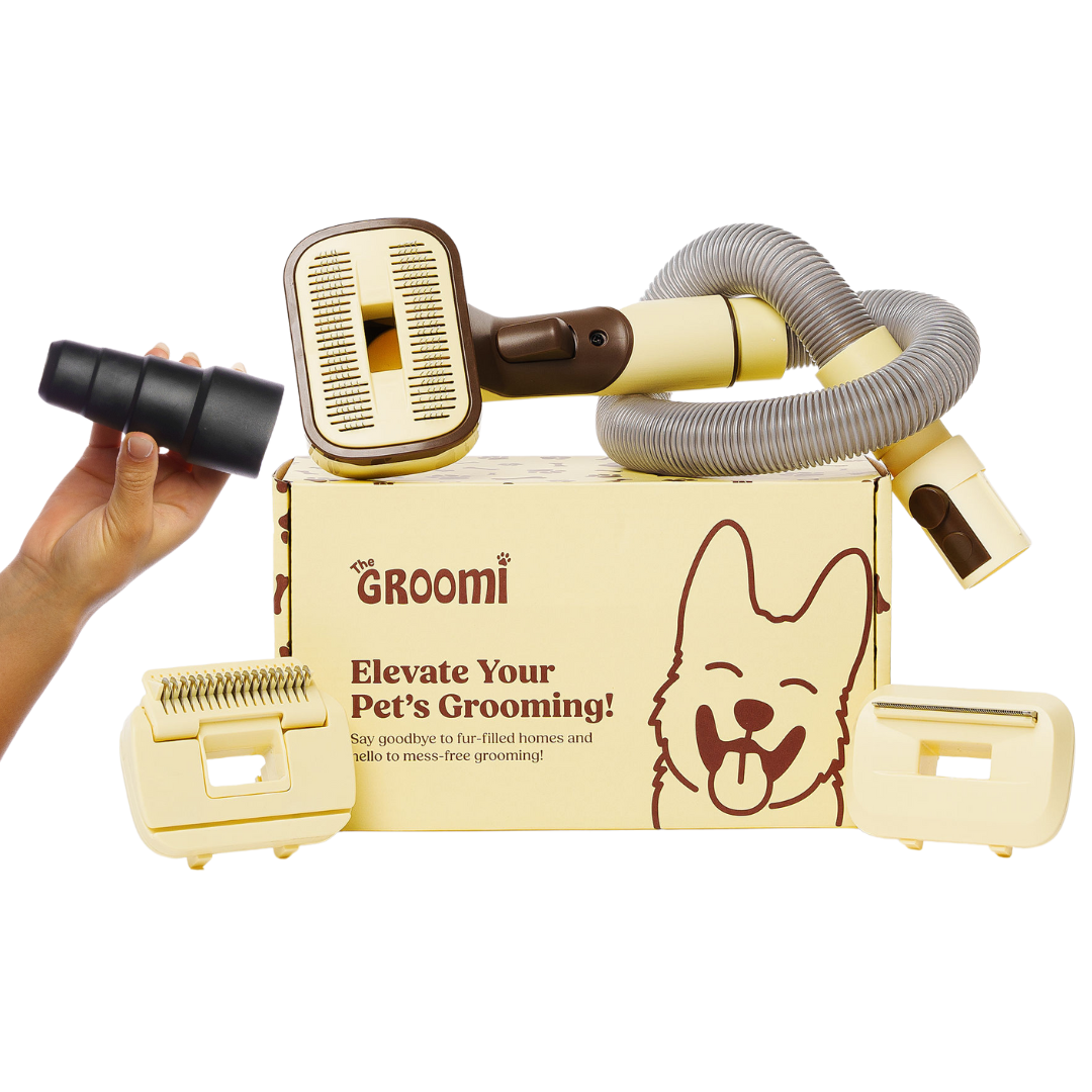 GROOMI™: Vacuum Grooming Tool, Deshedding Brush for Dogs & Cats – The ...