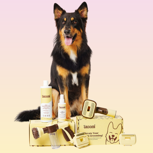 Products – The GROOMI