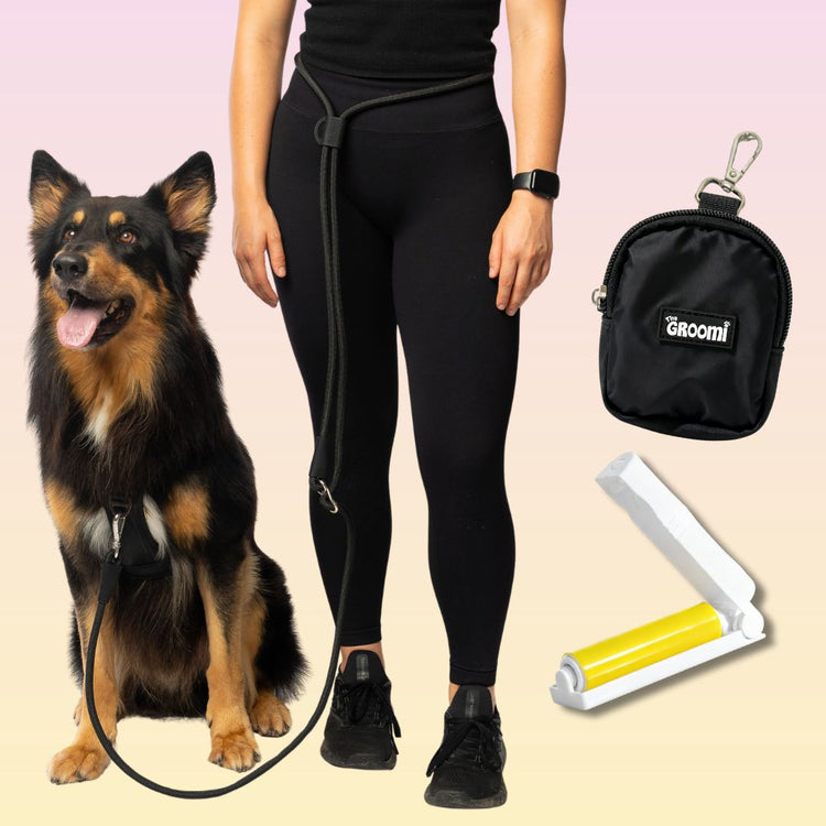 GROOMI™: Vacuum Grooming Tool, Deshedding Brush for Dogs & Cats – The ...