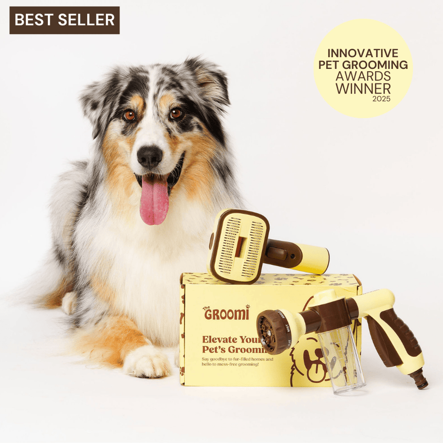 GROOMI Mess-Free Pet Grooming: A pet brush for your vacuum – The GROOMI