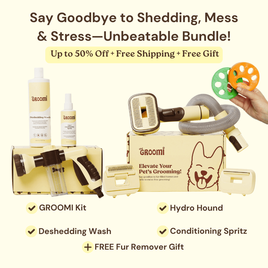 Hydro Hound – The GROOMI