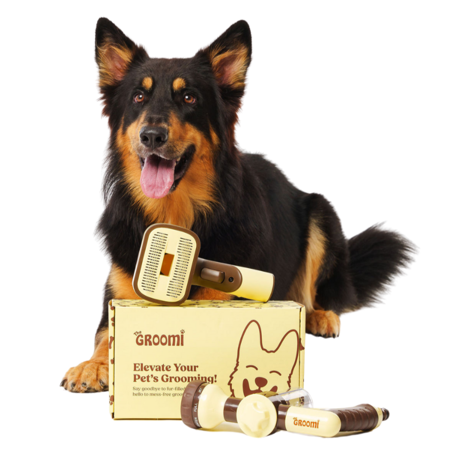 GROOMI Mess-Free Pet Grooming: A pet brush for your vacuum – The GROOMI