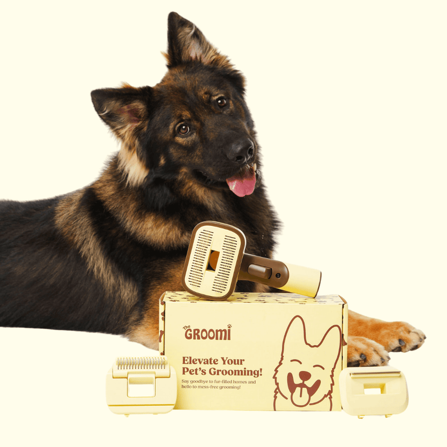 Hydro Hound – The GROOMI