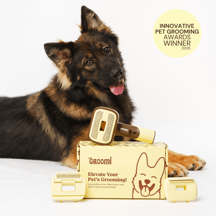 GROOMI Mess-Free Pet Grooming: A pet brush for your vacuum – The GROOMI