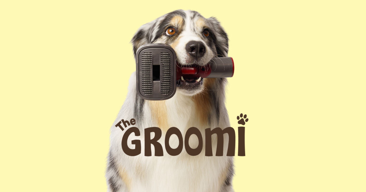 GROOMI Mess-Free Pet Grooming: A pet brush for your vacuum – The GROOMI